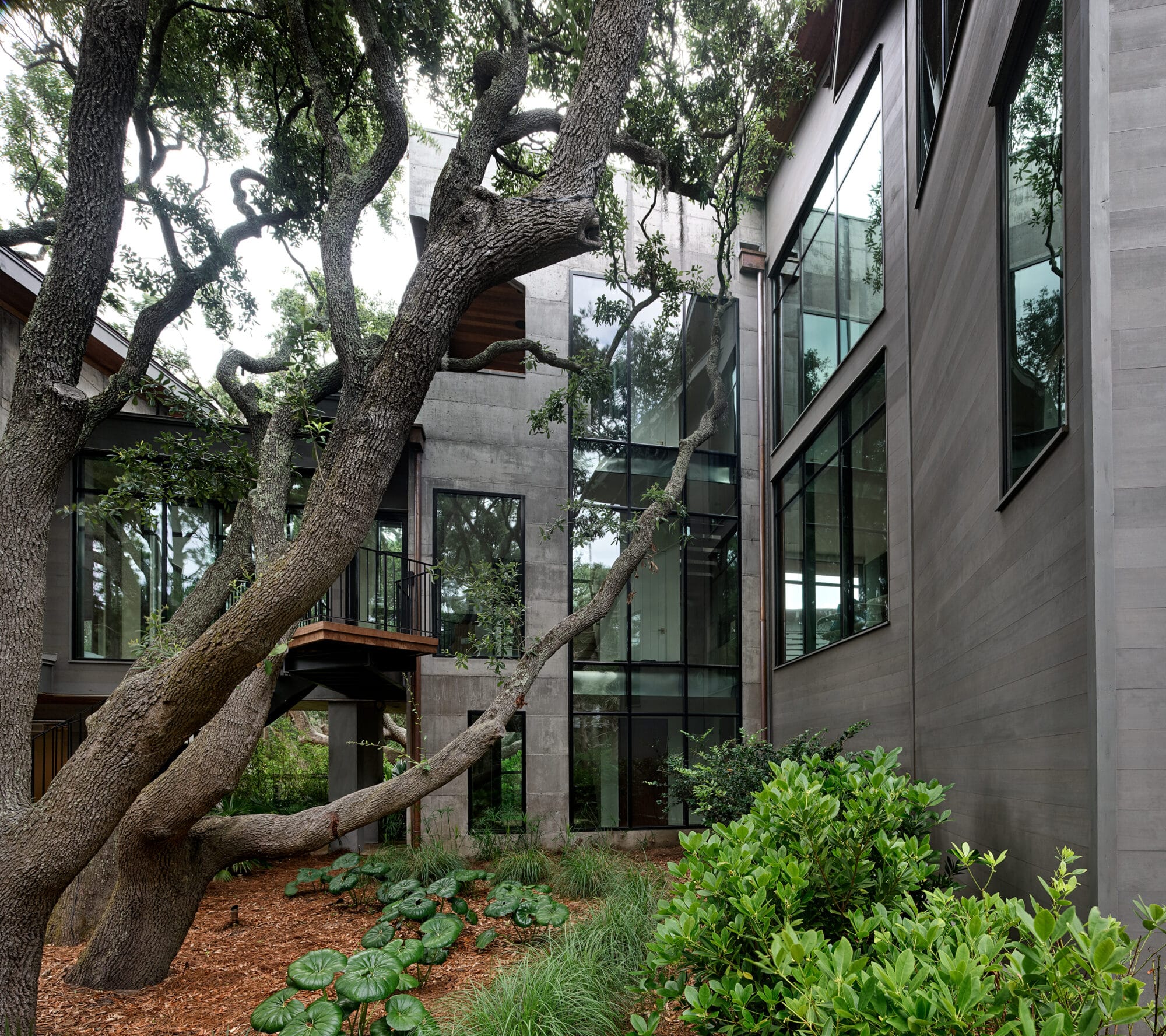 Home of the Week: The Treehouse Family Retreat - Best In American Living